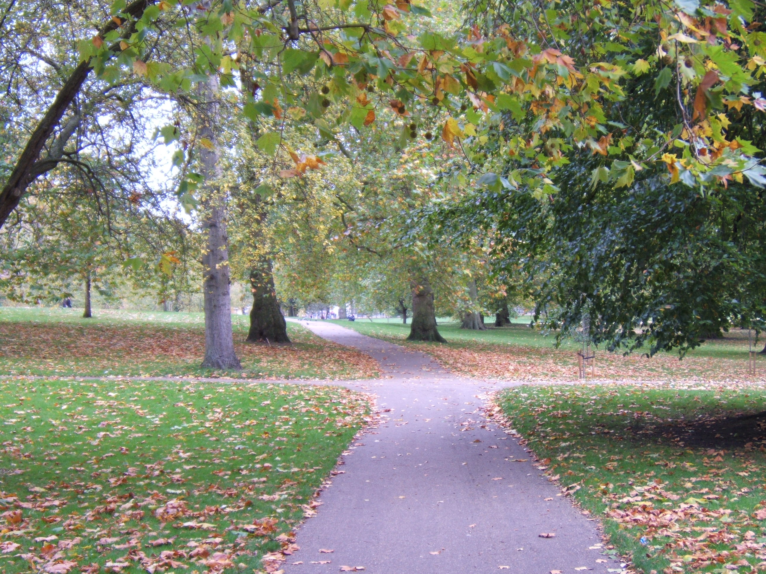 Green Park - London (English)