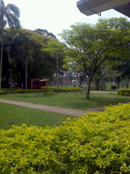 CEPEUSP - Centro de Práticas Esportivas da USP - São Paulo