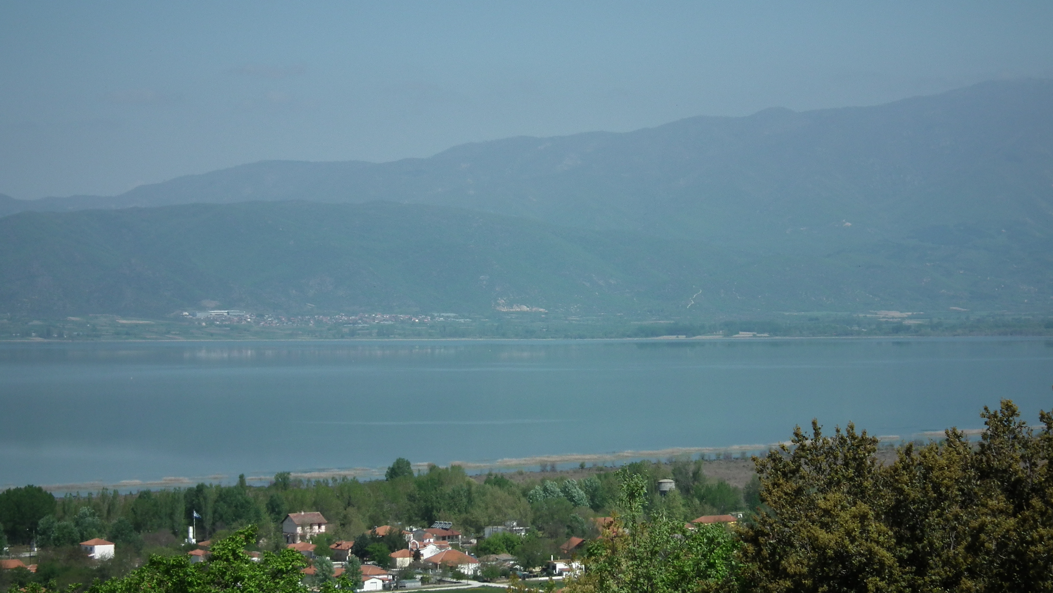 Dojran Lake
