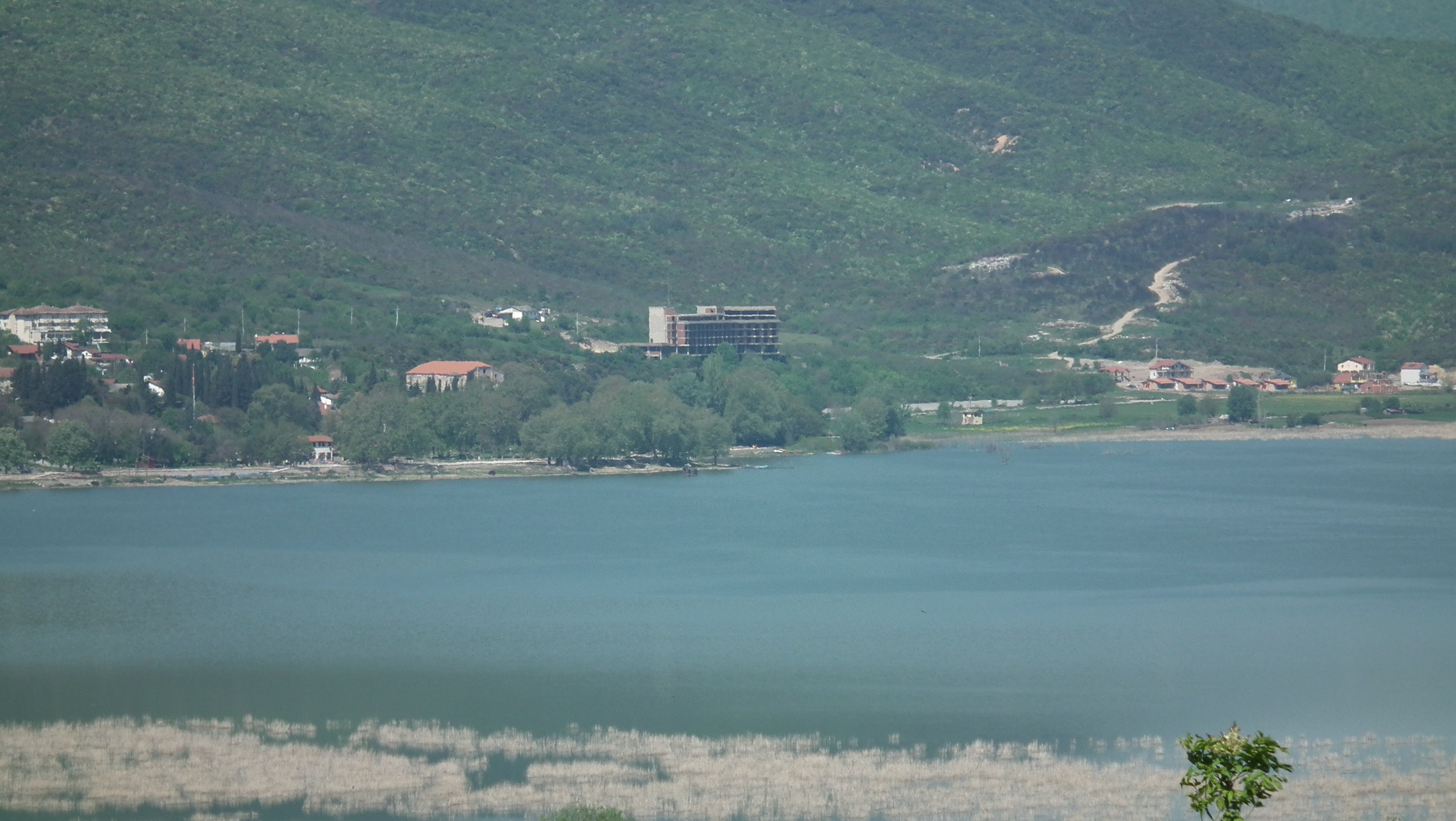 Dojran Lake