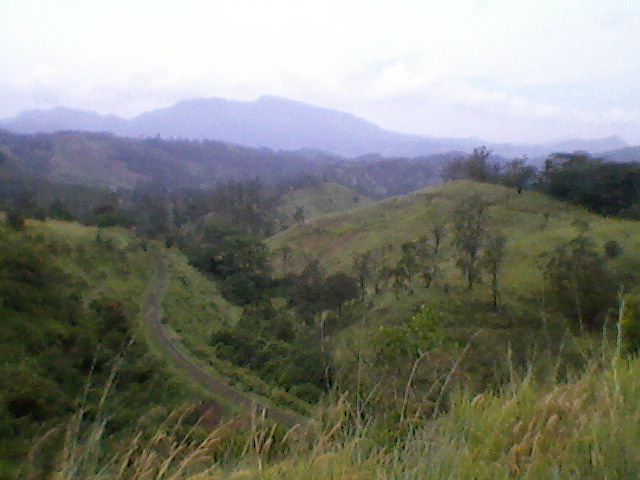 Kabaragala mountain (Dolosbage mountain range)