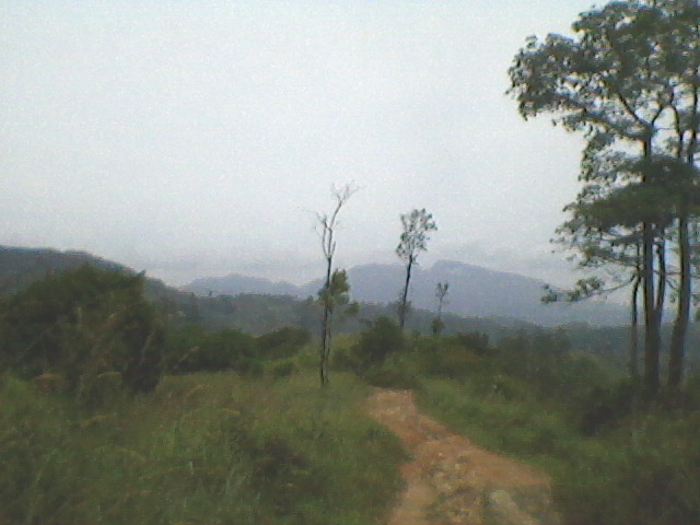 Kabaragala mountain (Dolosbage mountain range)