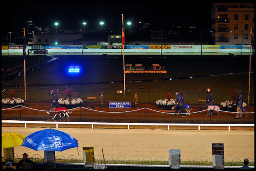 Shelbourne Park - Dublin (English)