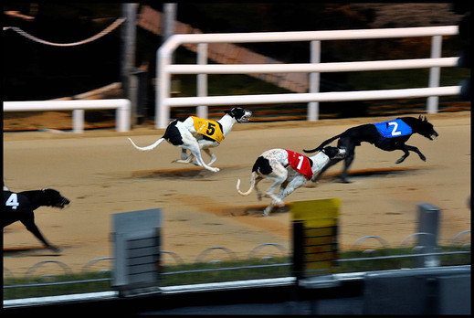 Shelbourne Park - Dublin (English)