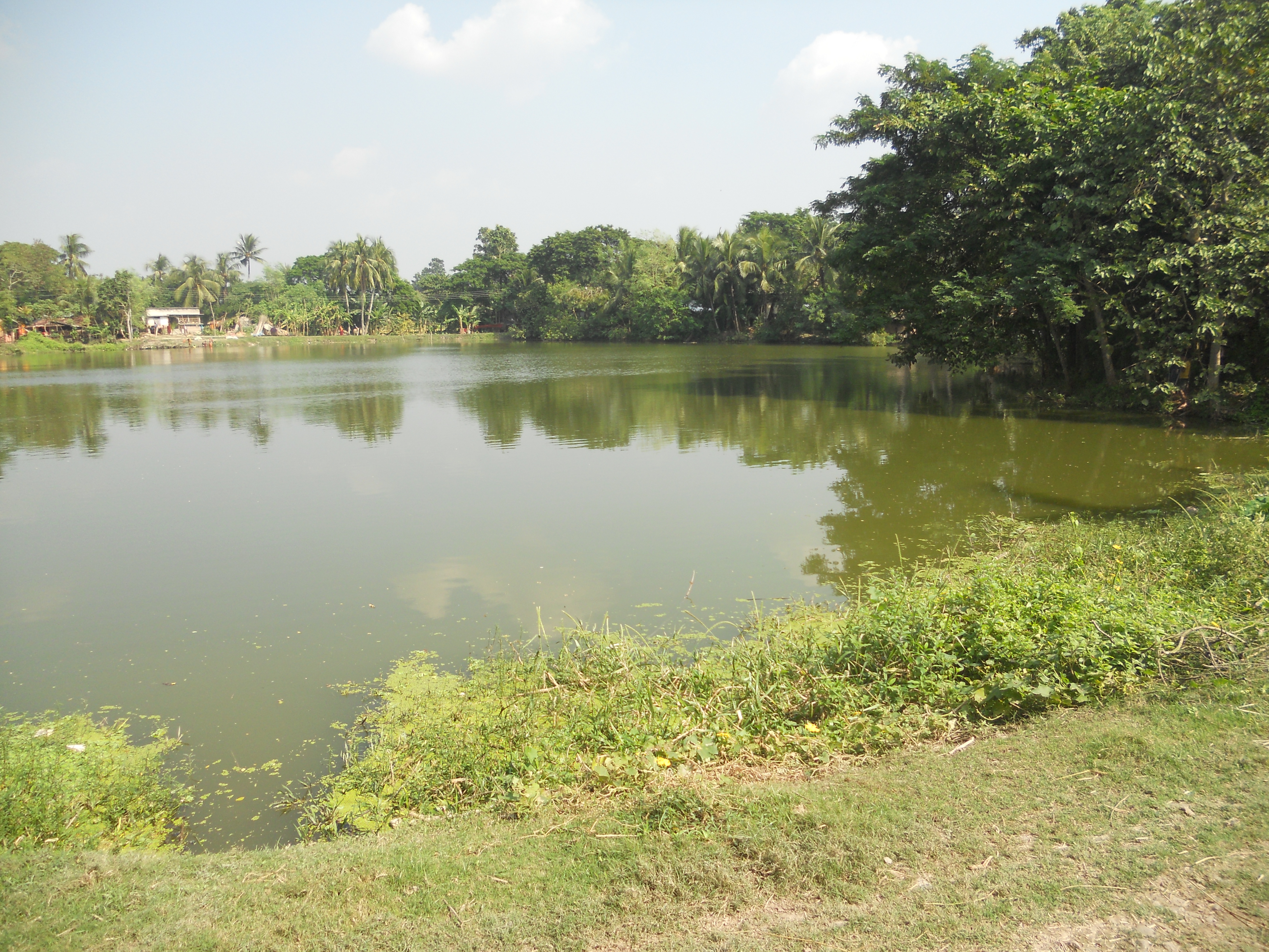Pond. - Badiapota