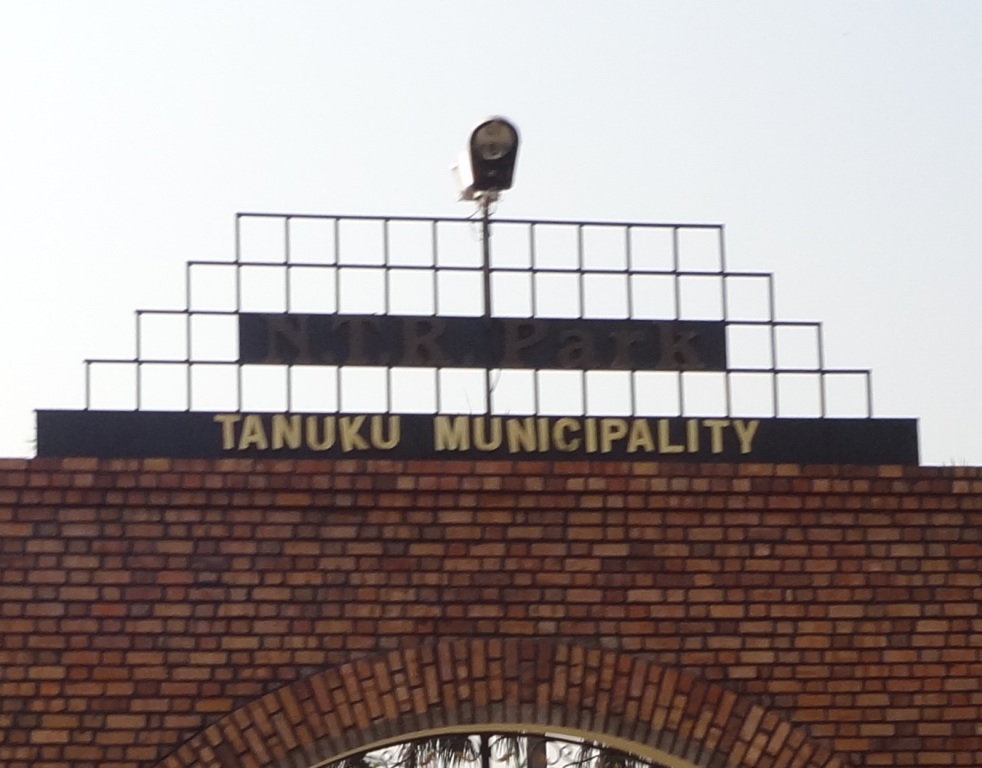 Tanuku - JungleKey.in Image