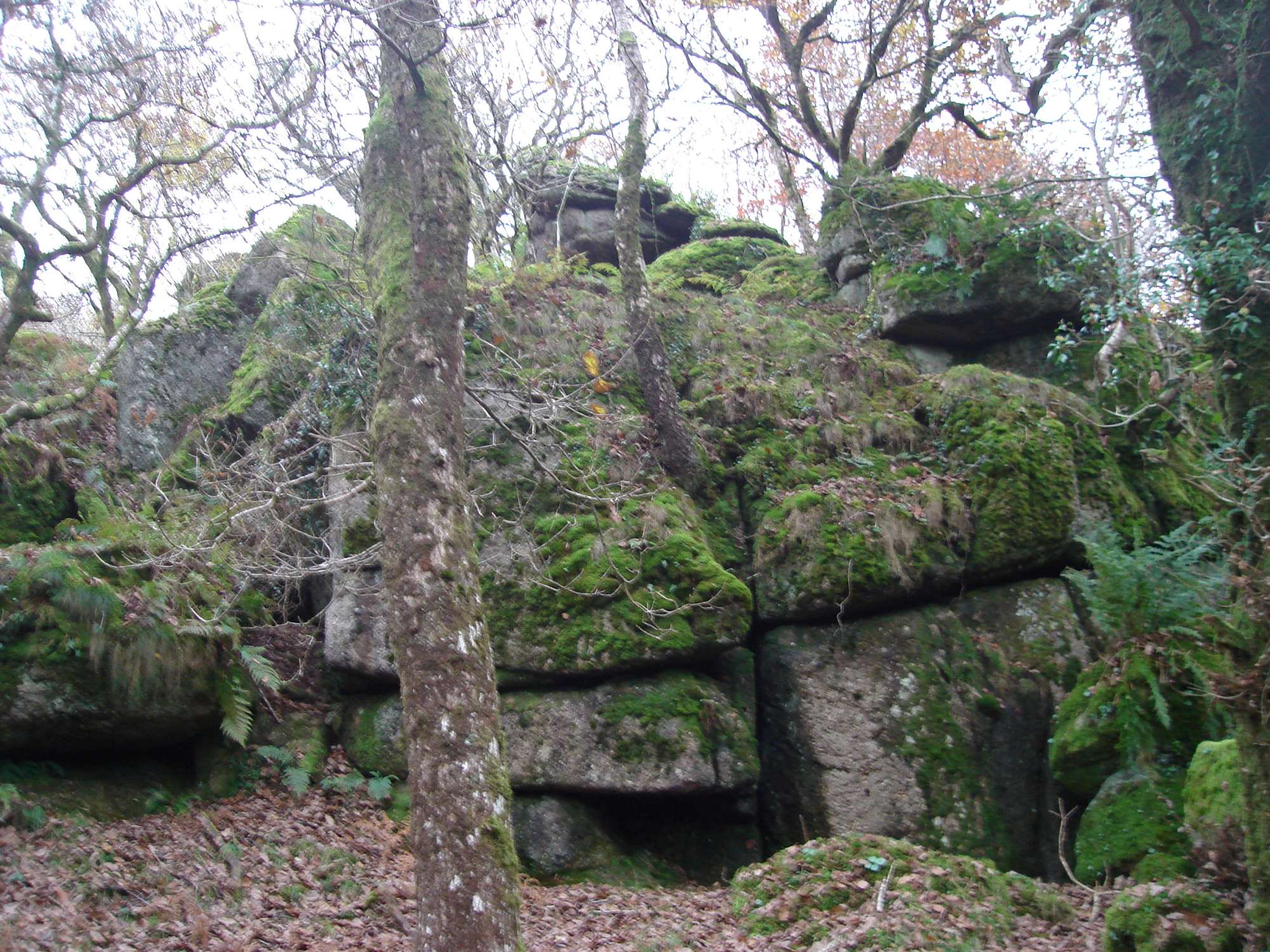 Logwell Rock