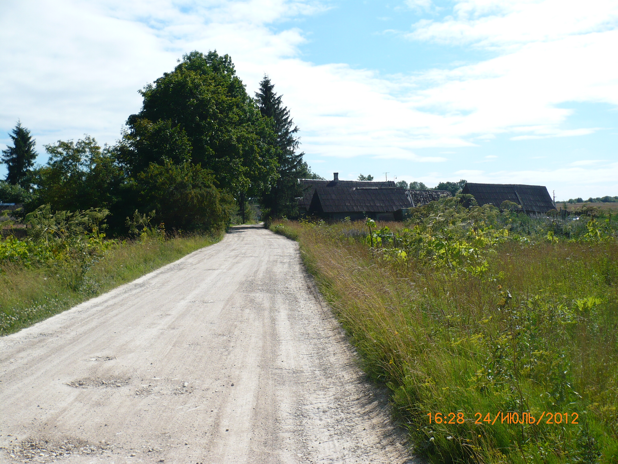 Northern house - Malye Miltsy