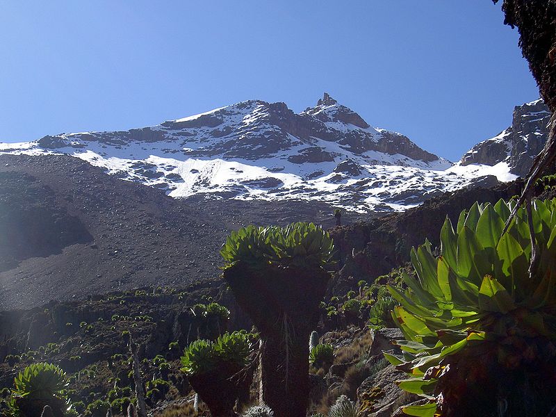 Mount Kenya
