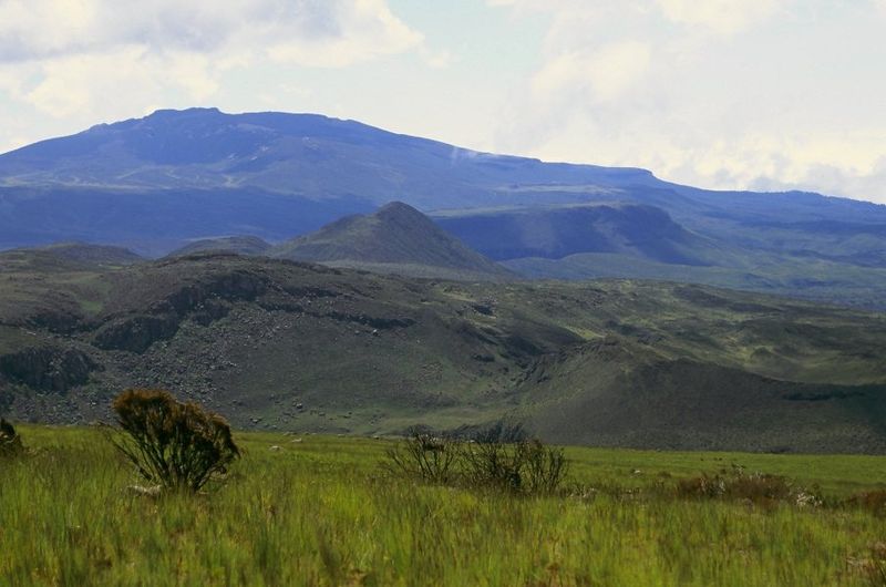 Mount Kenya National Park