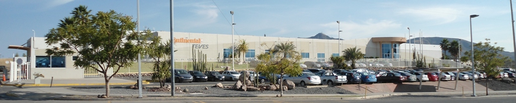 Continental Teves Planta Las Colinas - Silao