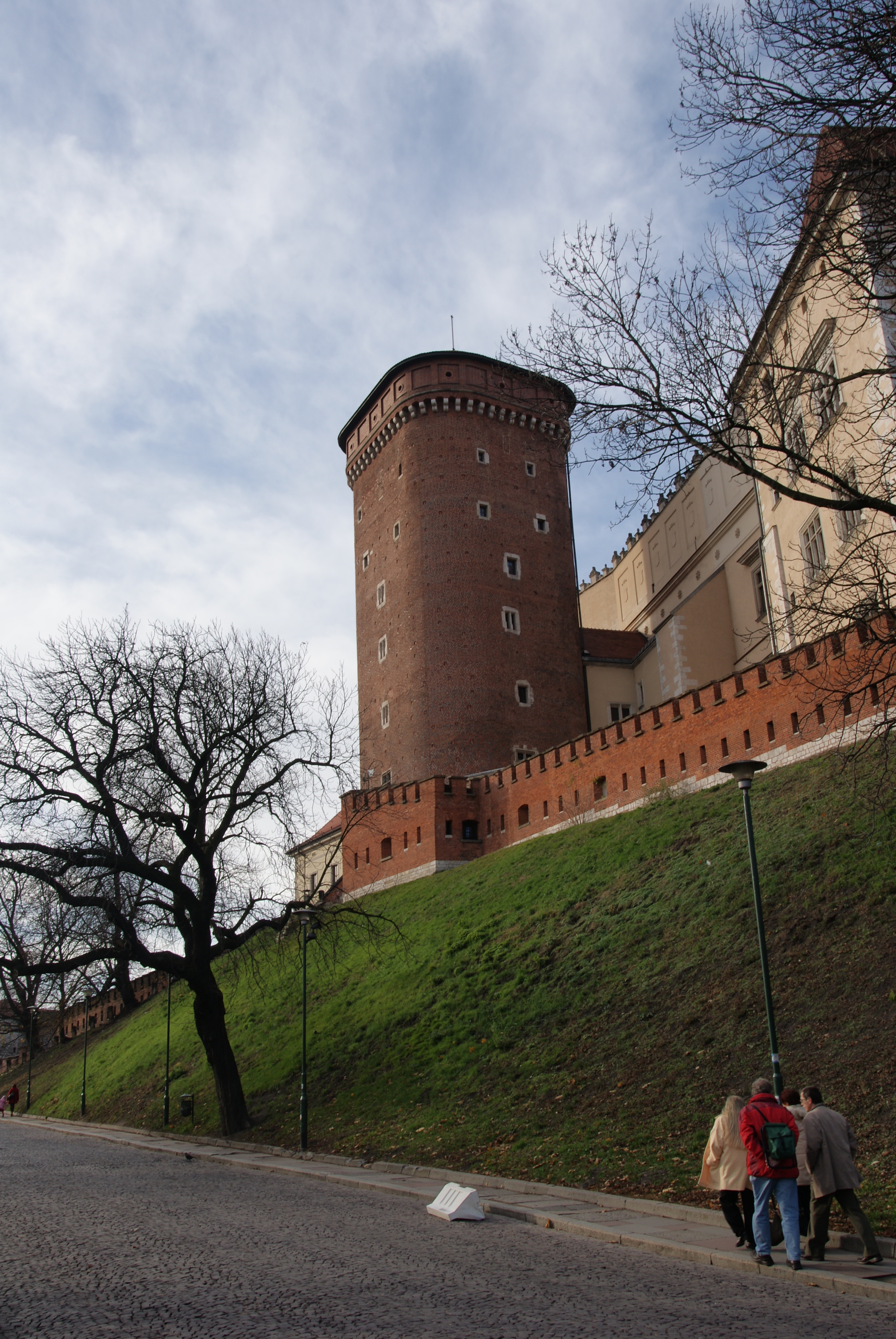 Senator Tower - Kraków