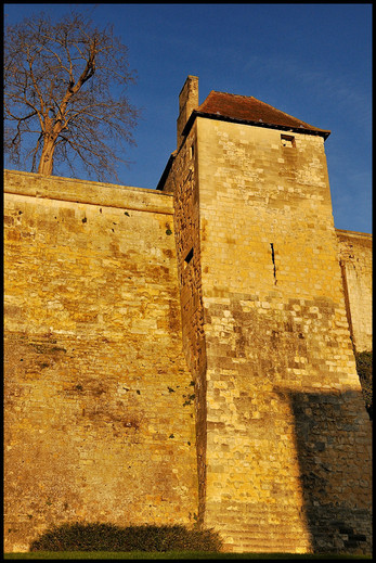 Tour du Bedeau - Caen