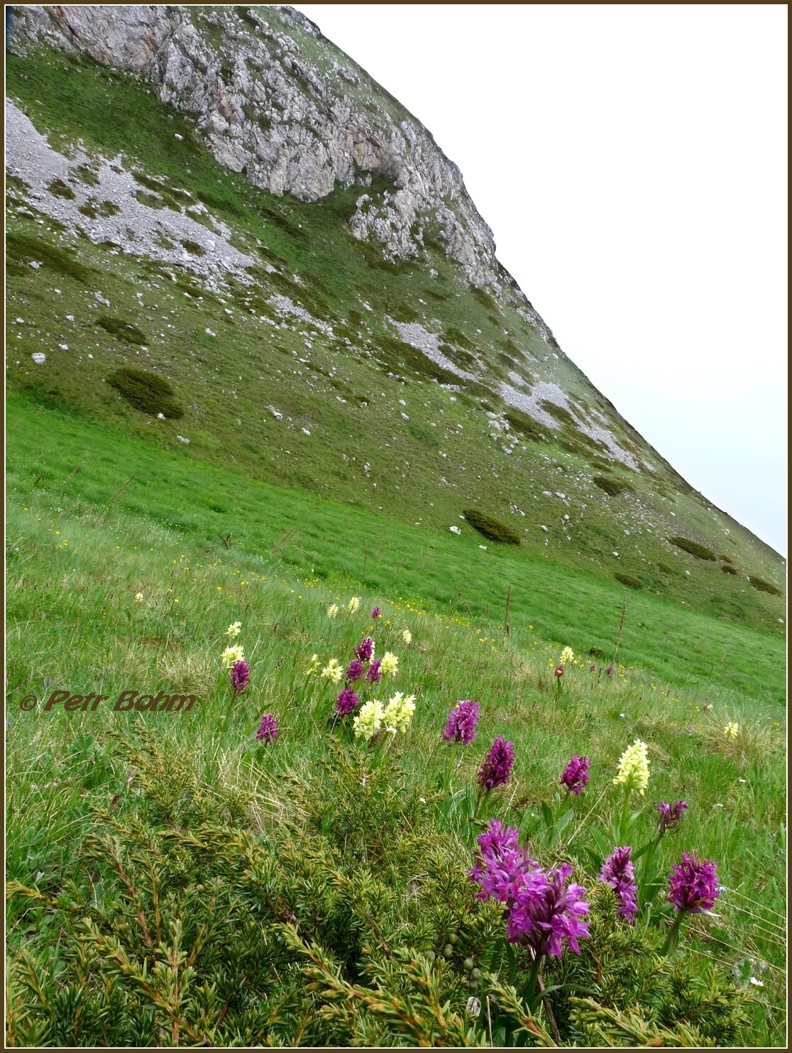 Peak Magaro - 2254 m | summit