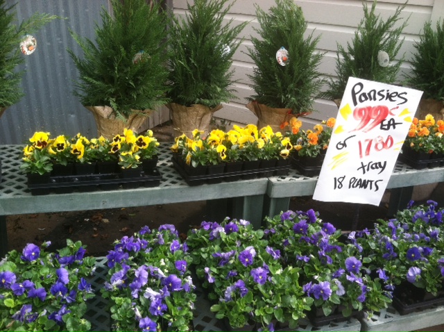 Farm Patch - Bryan, Texas