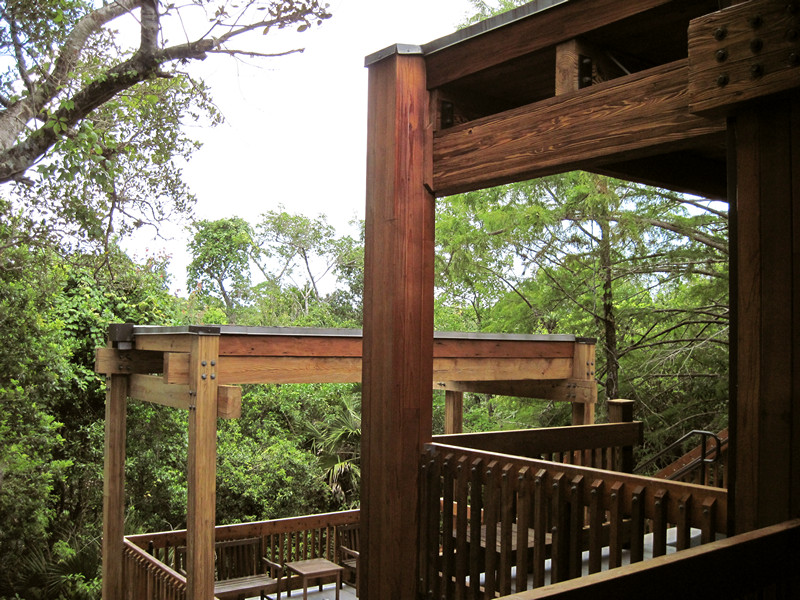 Fern Forest Nature Center - Coconut Creek, Florida