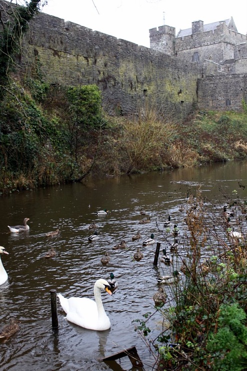 Cahir Castle - Cahir (Cathair Dhún Iascaigh)