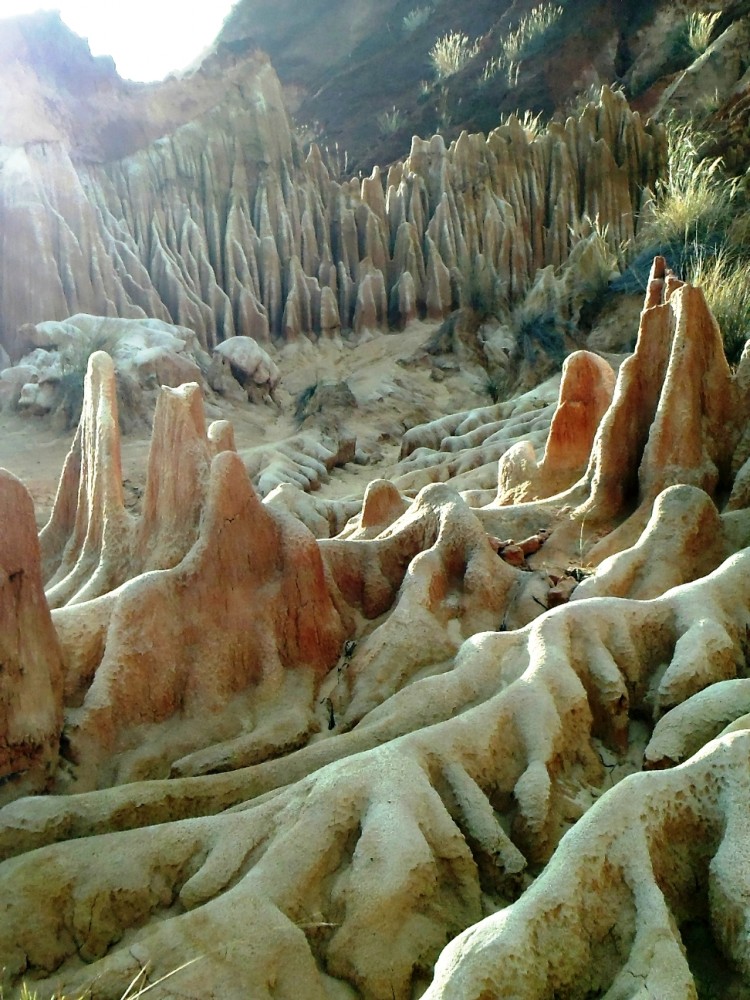 Tsingy de Bemaraha National Park