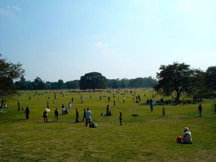 Showa Memorial Park - Tachikawa