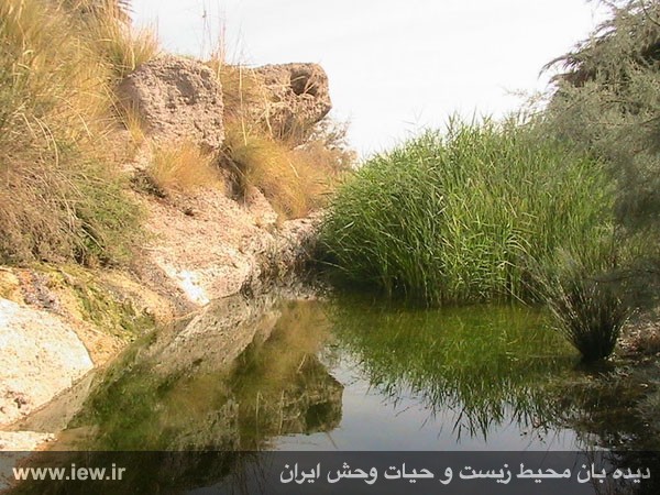 Harmad Protected Area | park, nature conservation park / area