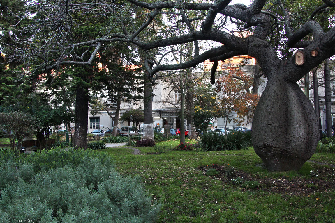 Hospital Gral. de Agudos Bernardino Rivadavia - Buenos Aires
