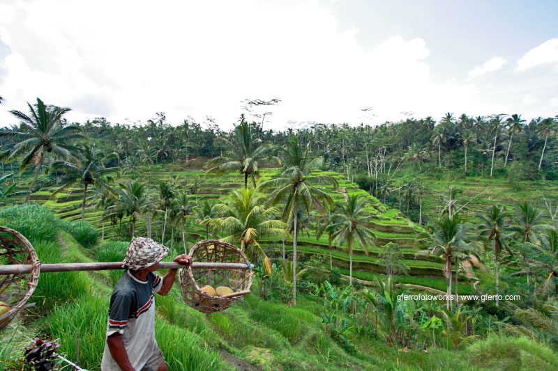 Tenjolaya, Bogor, West Java - Desa Gunung Malang
