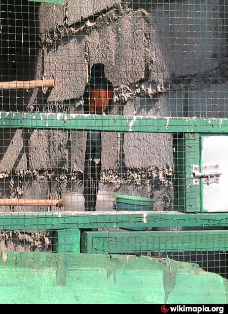 GLOBAL FAUNA FARM - Simbaringin