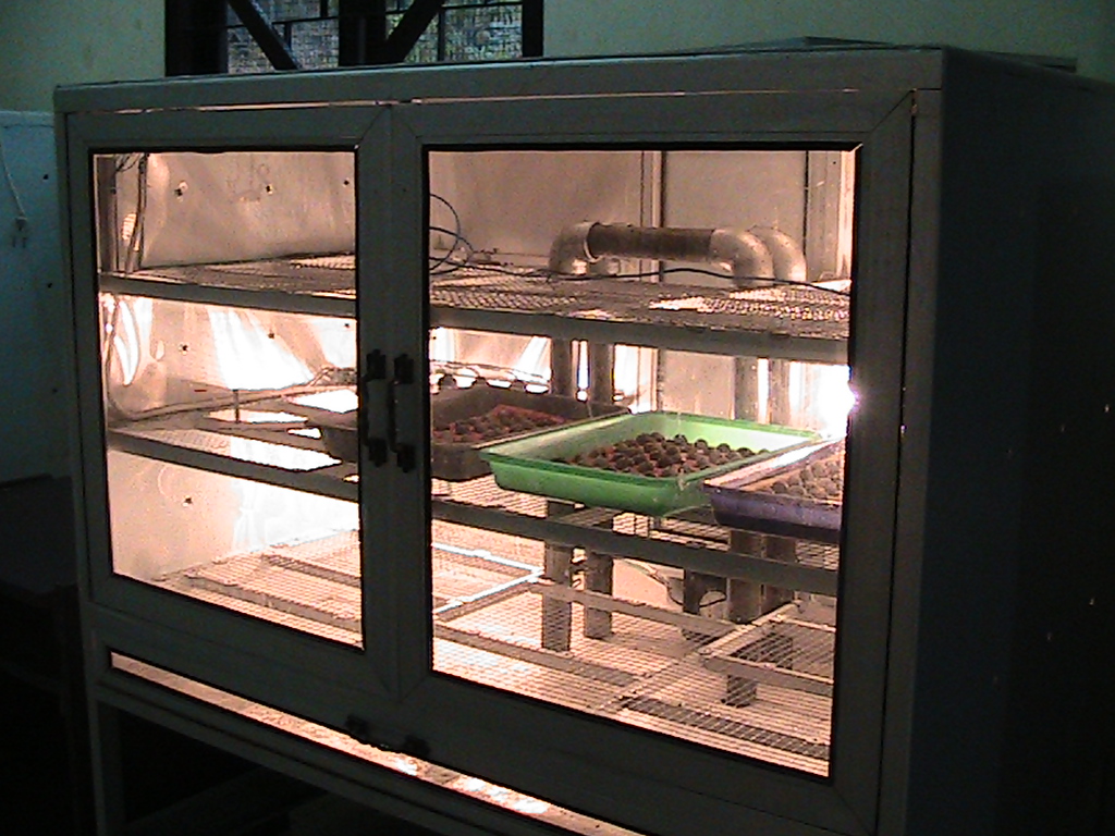 GLOBAL FAUNA FARM - Simbaringin