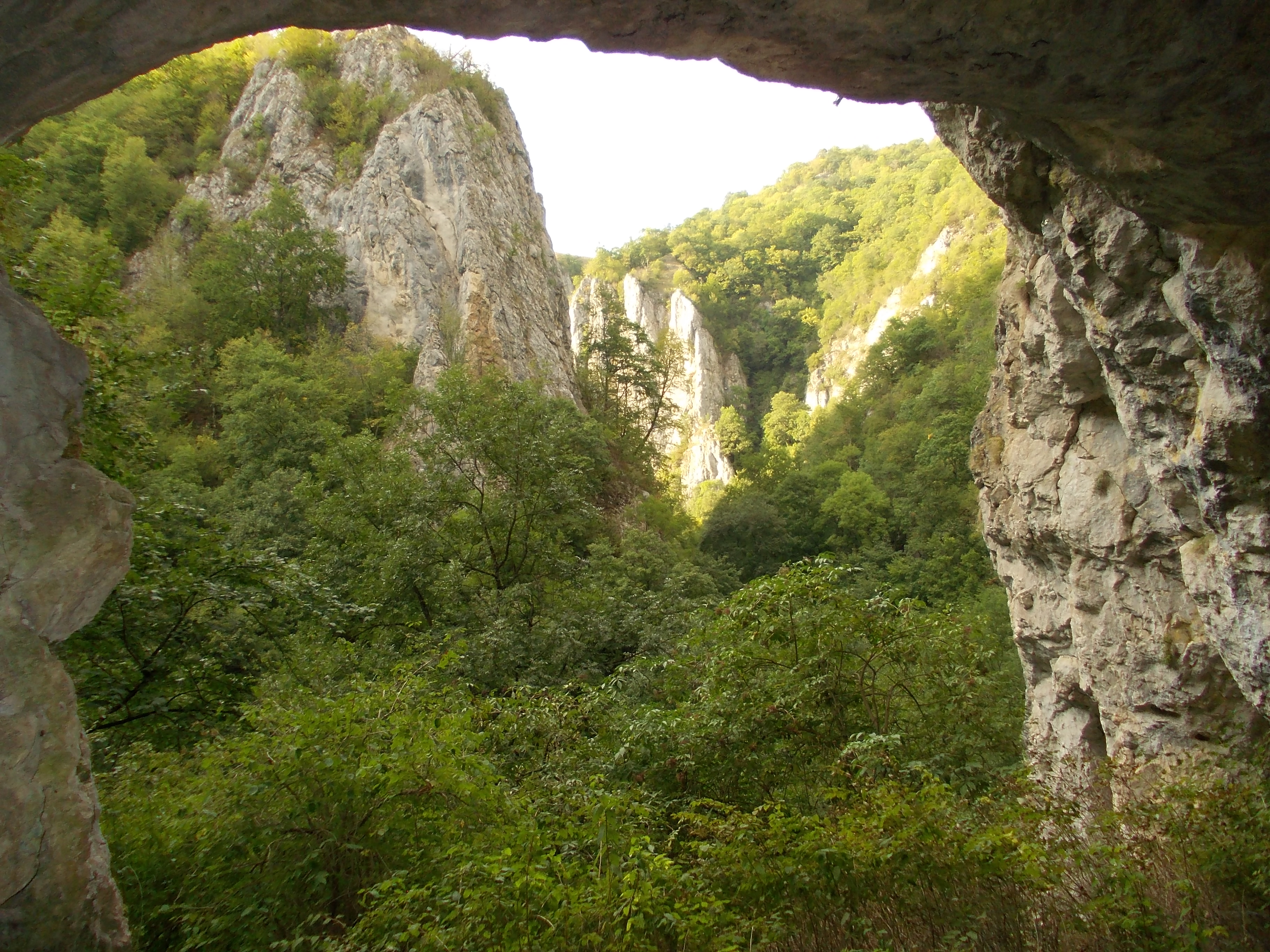Cave of Almasch, Pestera Mare de la Meresti
