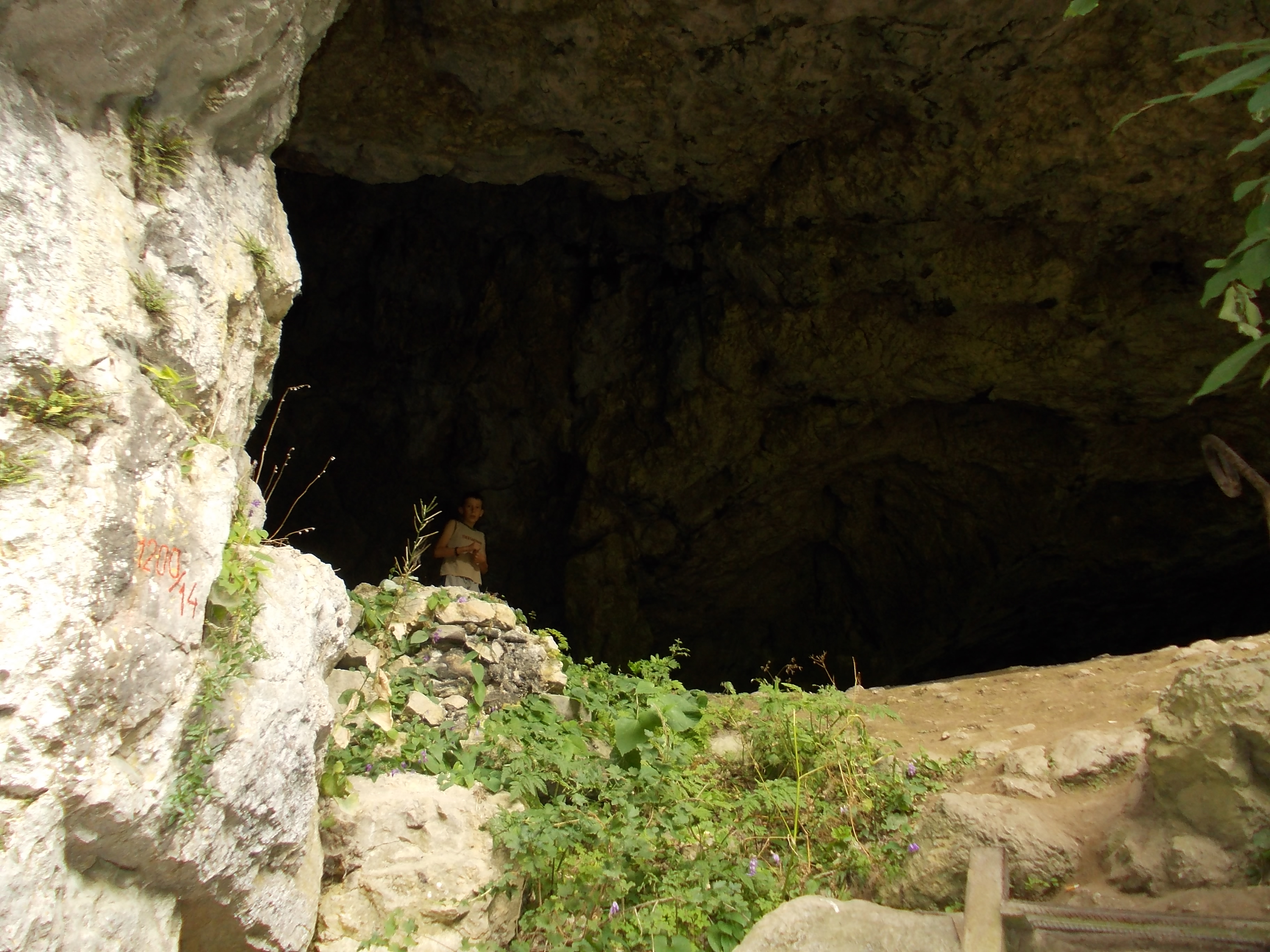 Cave of Almasch, Pestera Mare de la Meresti