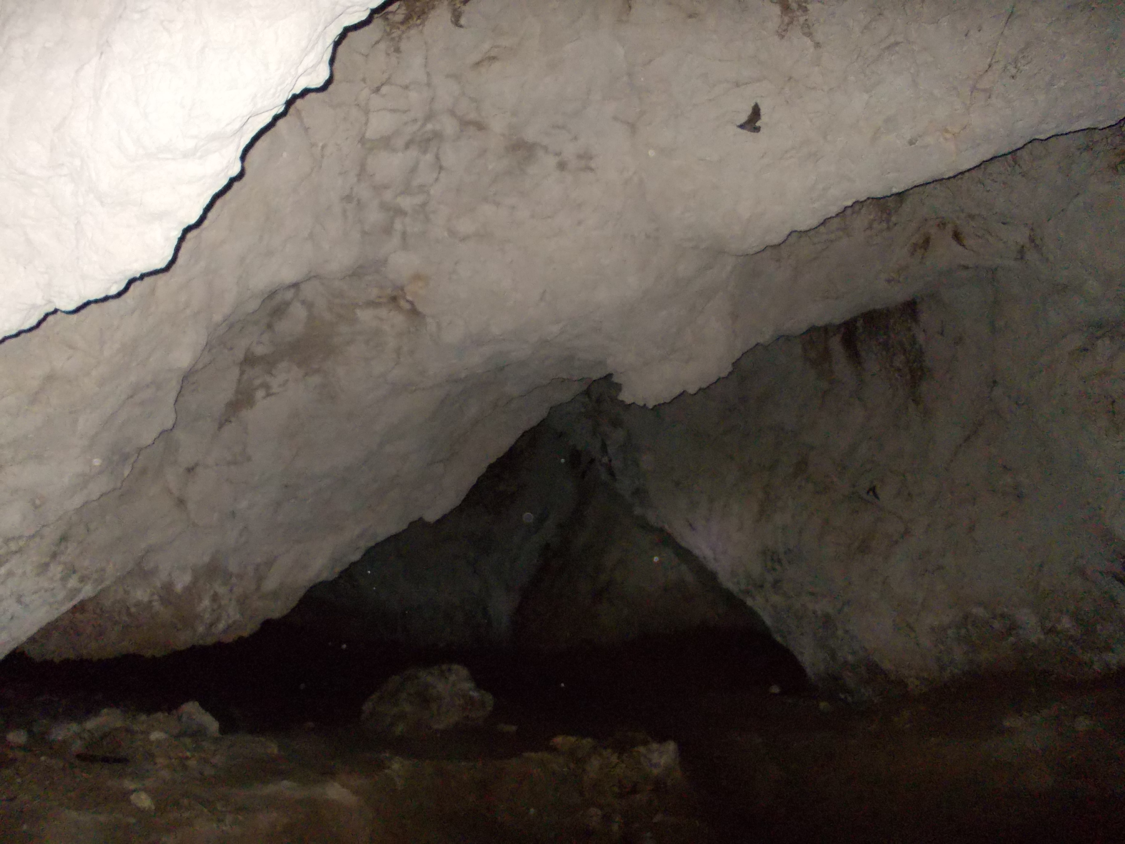 Cave of Almasch, Pestera Mare de la Meresti