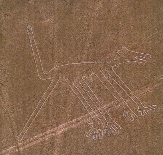 Nazca Dog | Nazca Lines, geoglyph