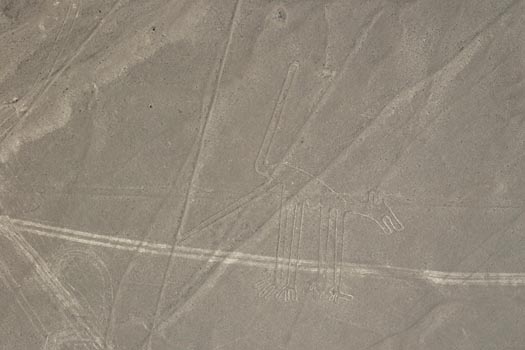 Nazca Dog | Nazca Lines, geoglyph