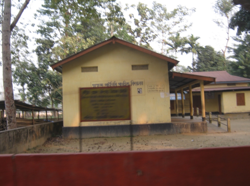 Mahendra Patgiri Primary School.