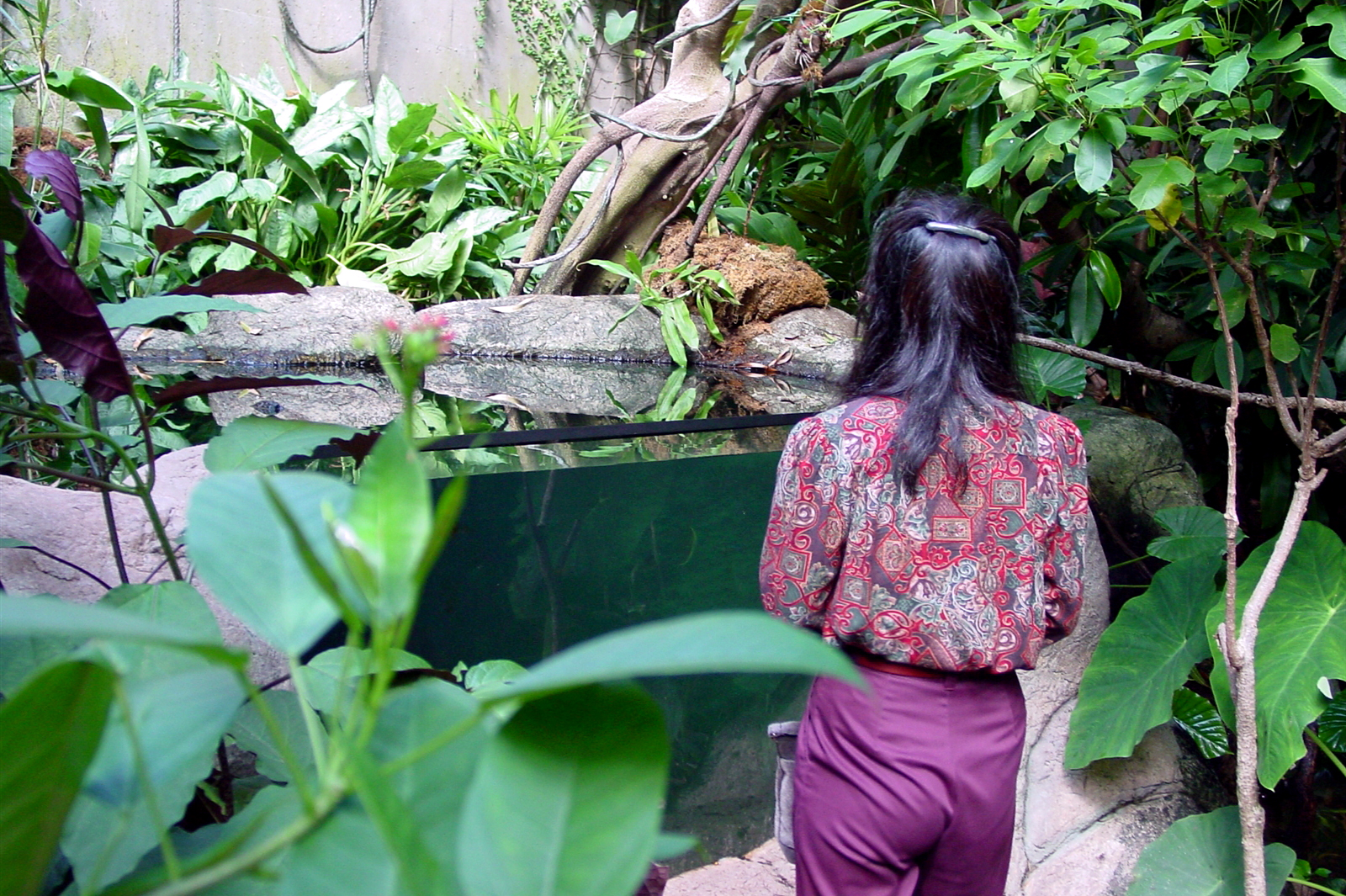 Jungle Dome Aviary - Fort Wayne, Indiana