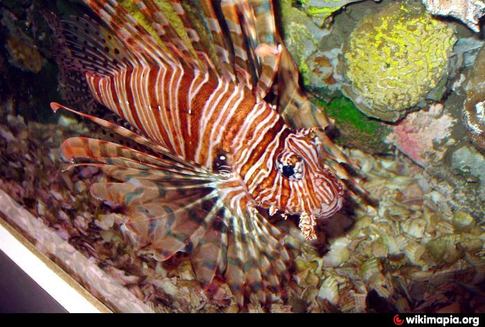 The Reef - Fort Wayne, Indiana