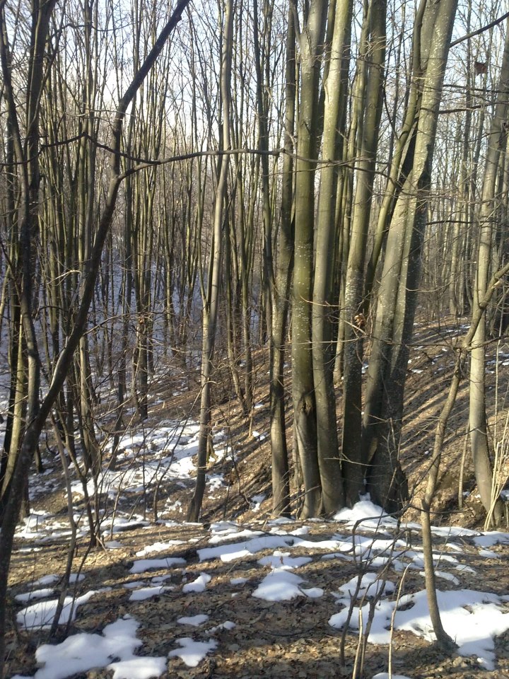 Lacul Mutu