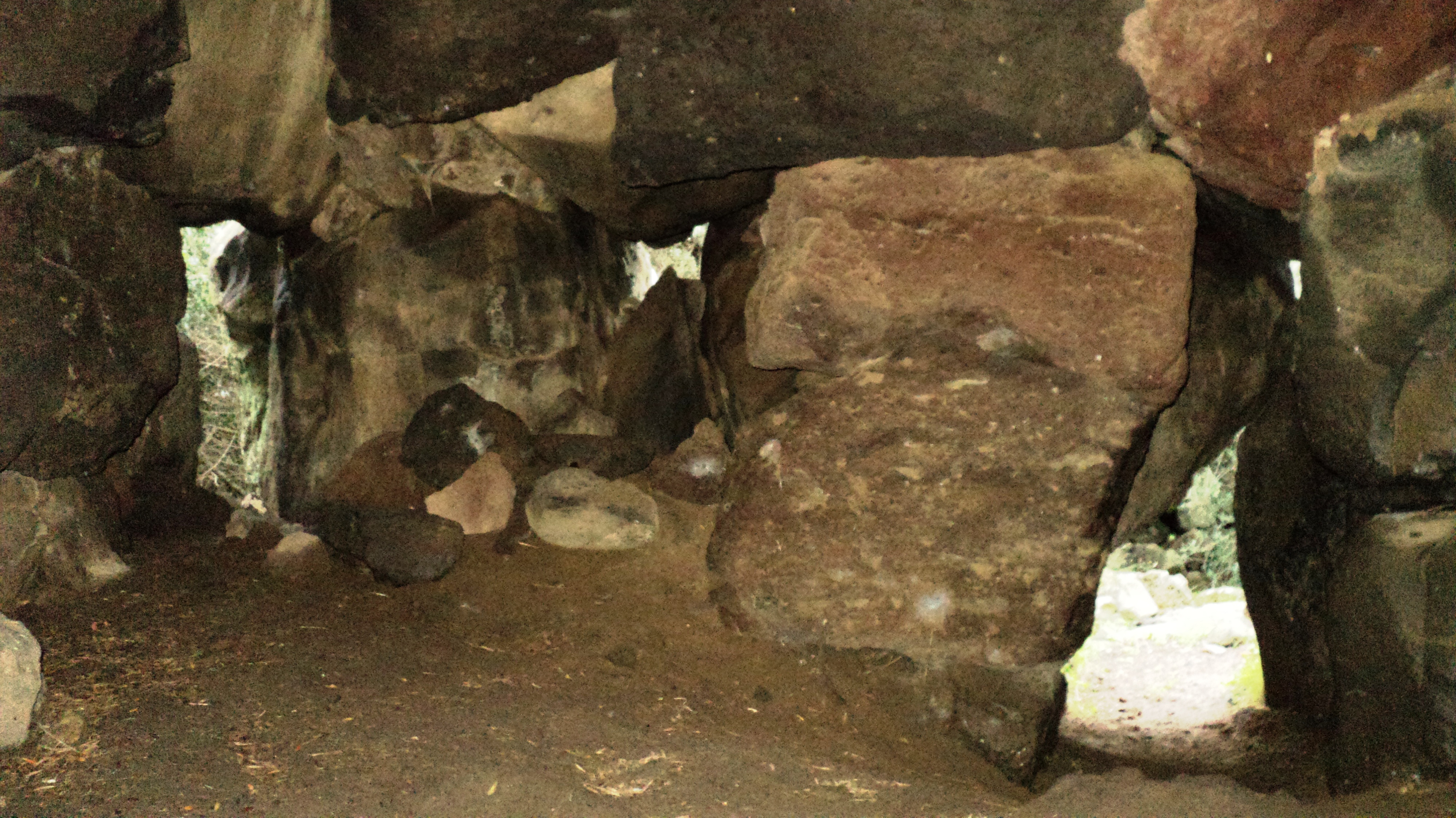 Complesso Nuragico di Bau Mendula (Interno)