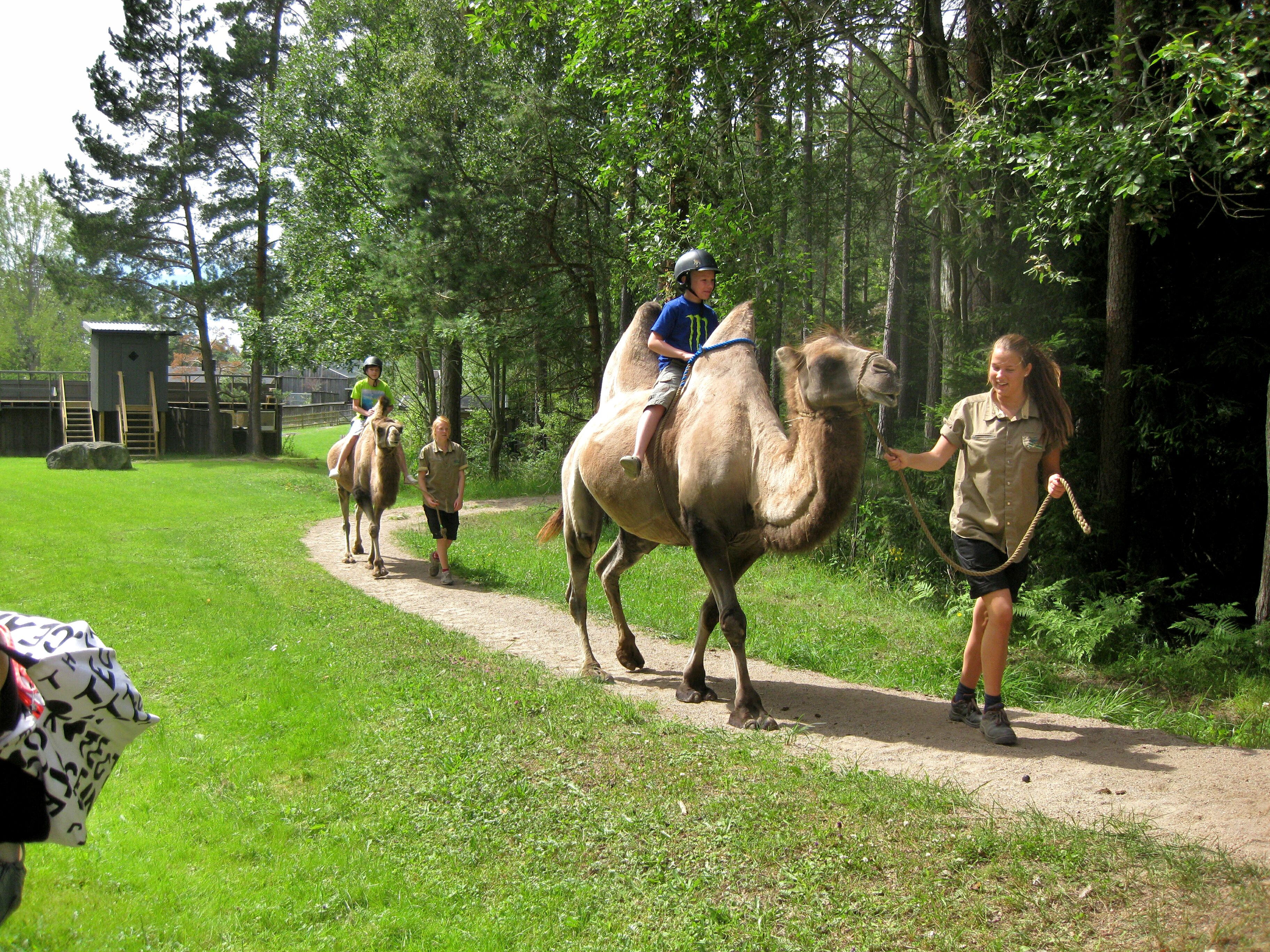 Kolmårdens Djurpark