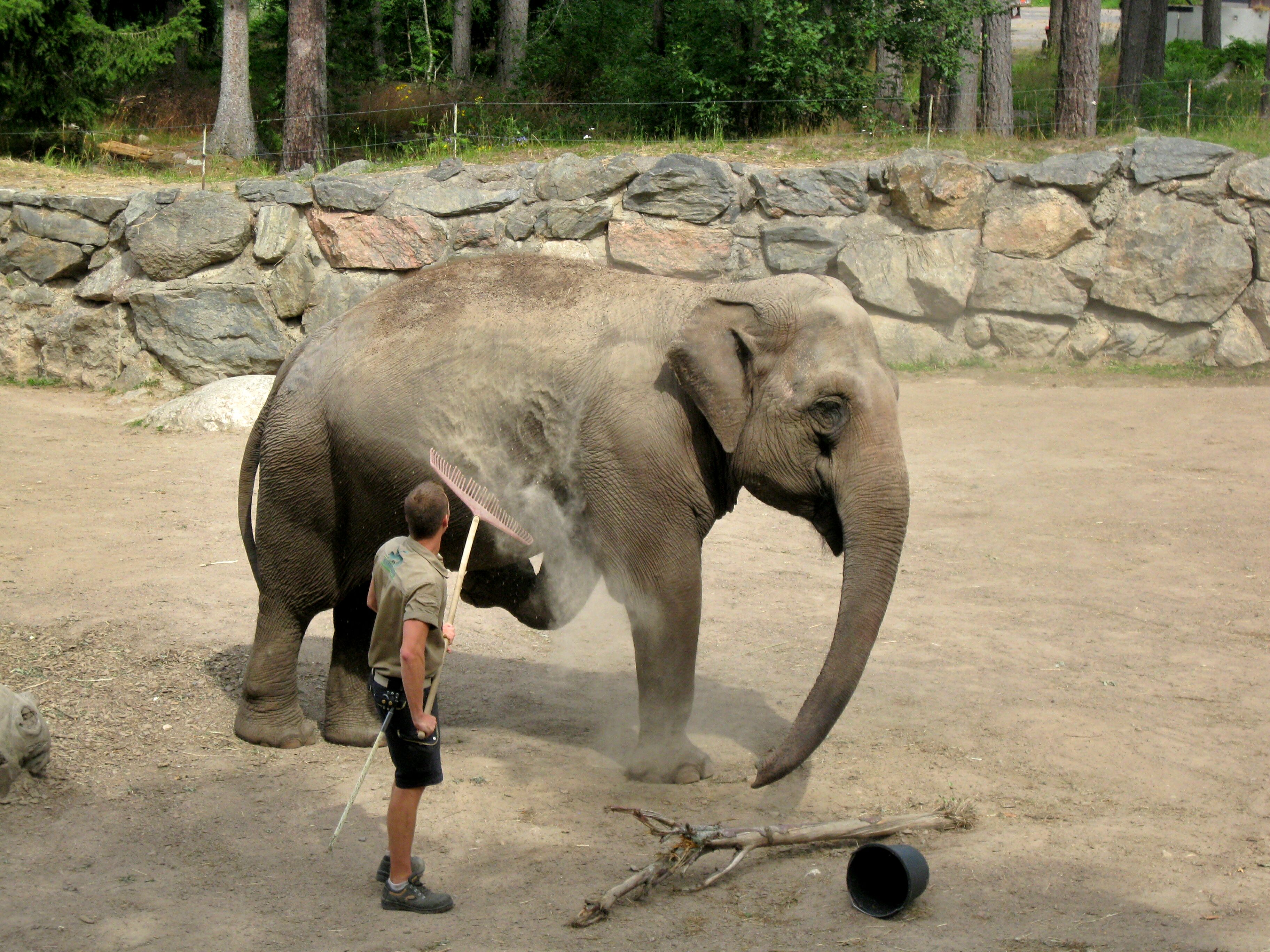 Kolmårdens Djurpark