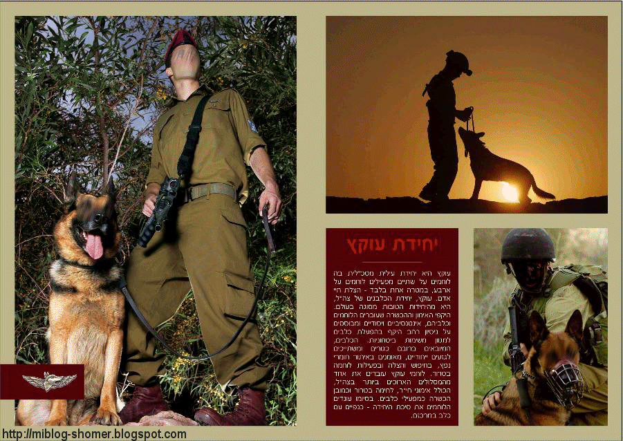 The Oketz (The Stinger) Canine Unit