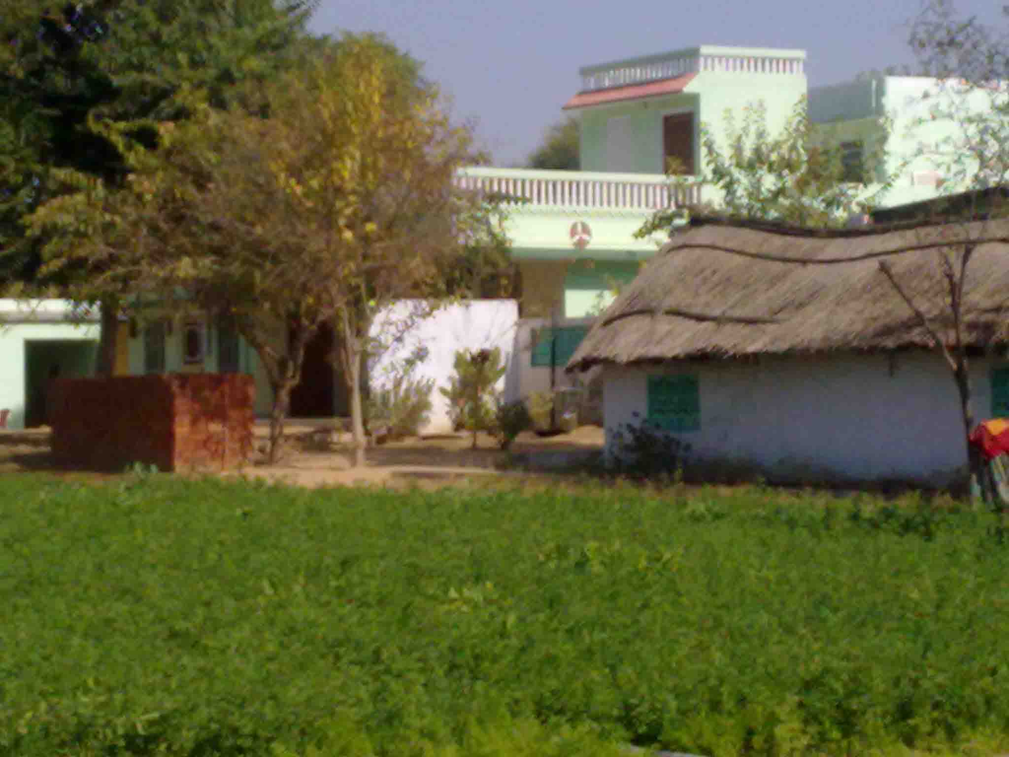 POKHARMAL FOGAWAT FARM HOUSE TASAR CHHOTI
