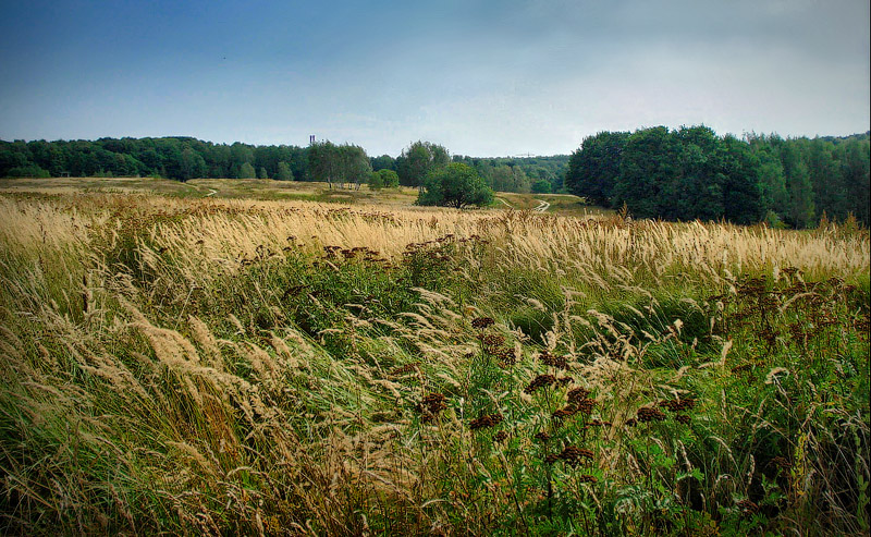 Bald Hill - Moscow