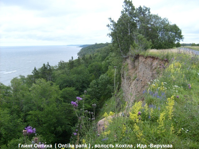 Ontika Limestone cliff - Valaste