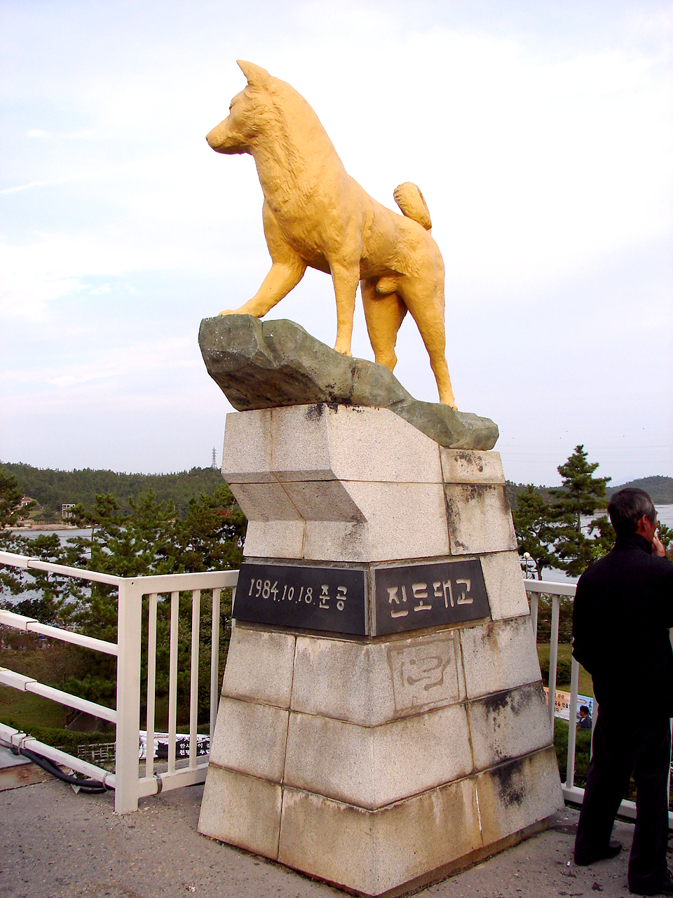 Jindo