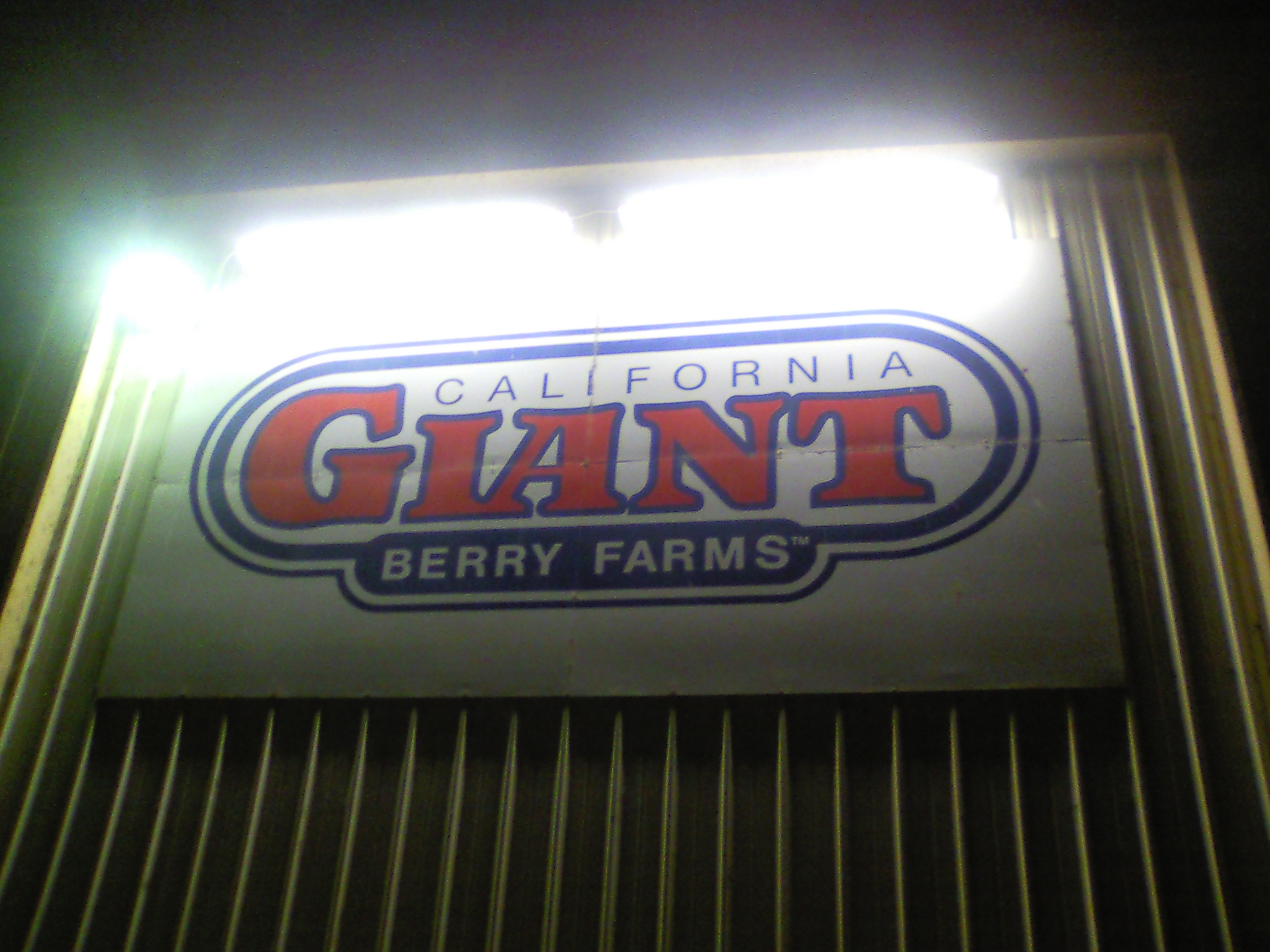 California Giant