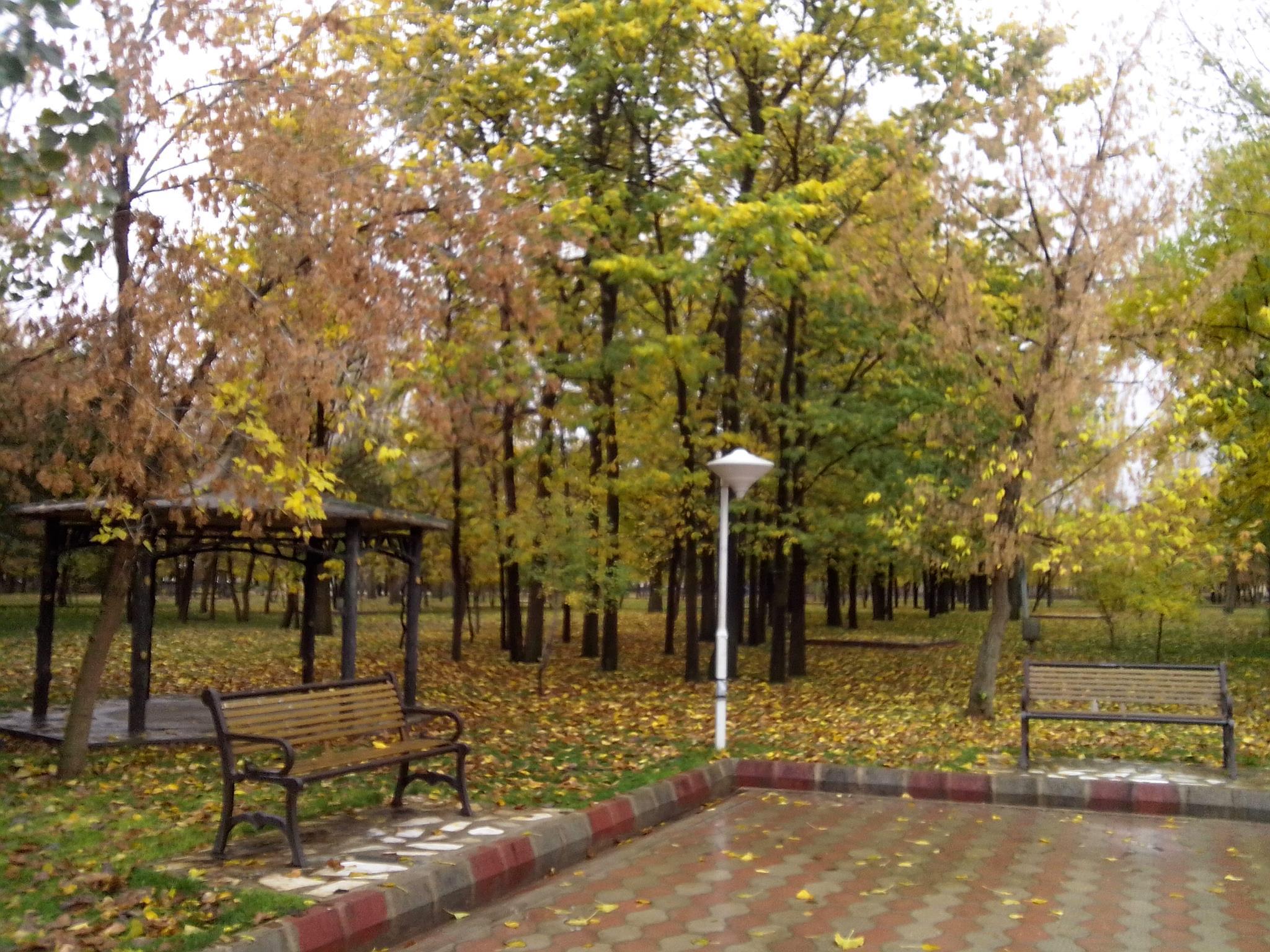 Shahr Park - Saqqez (Seqiz)