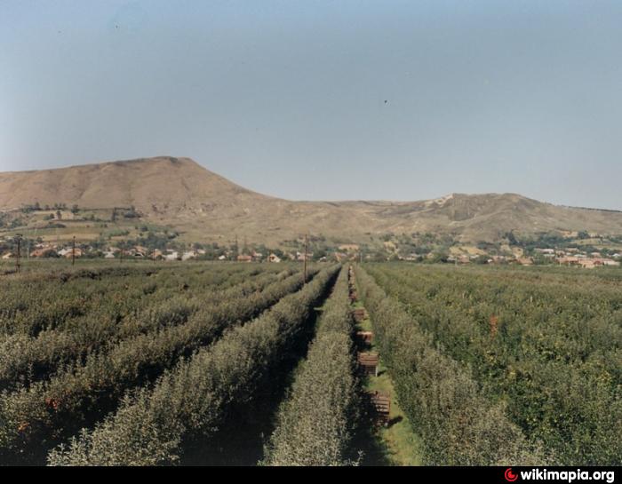 Livada de mere Fructoprod S.A. Târgu Trotuş - Comuna Târgu Trotuş