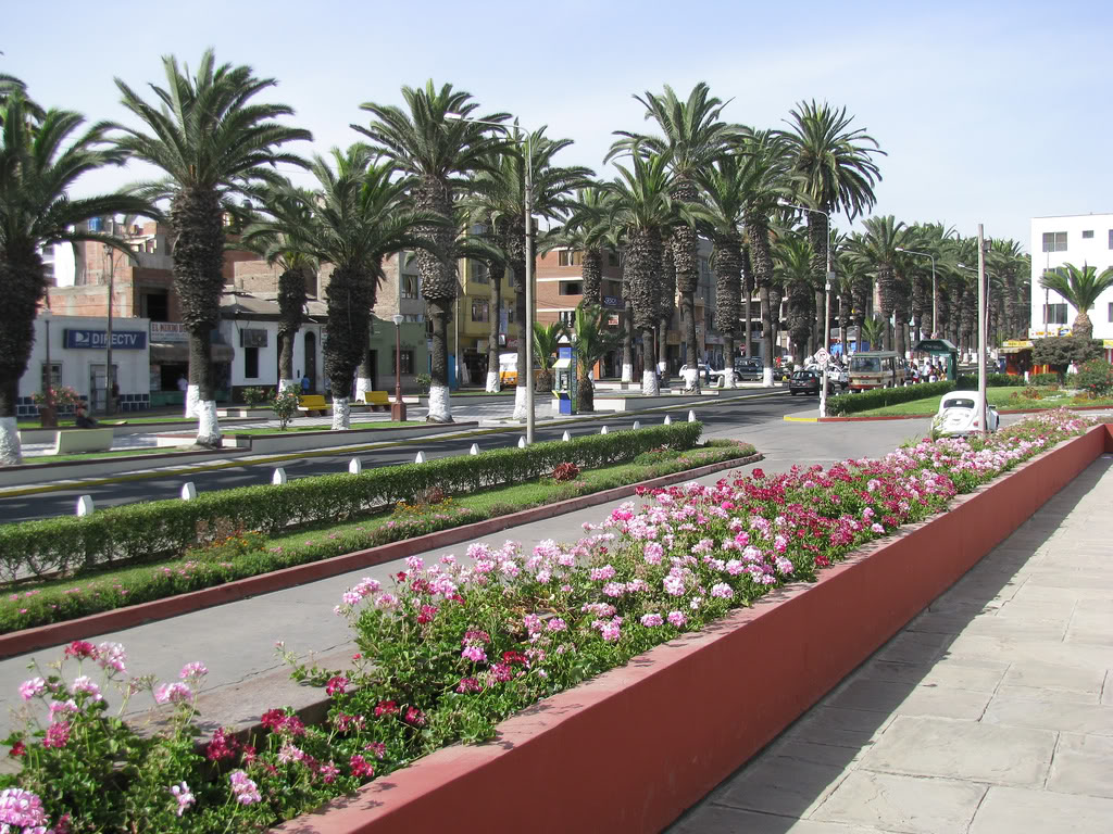 Tacna (Peru)