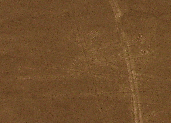 Nazca Dog | Nazca Lines, geoglyph